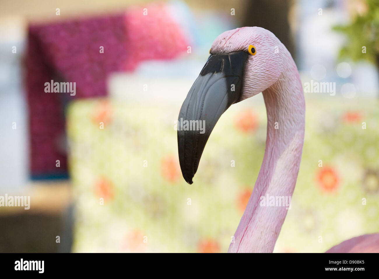 Plastic Flamingo High Resolution Stock Photography and Images - Alamy