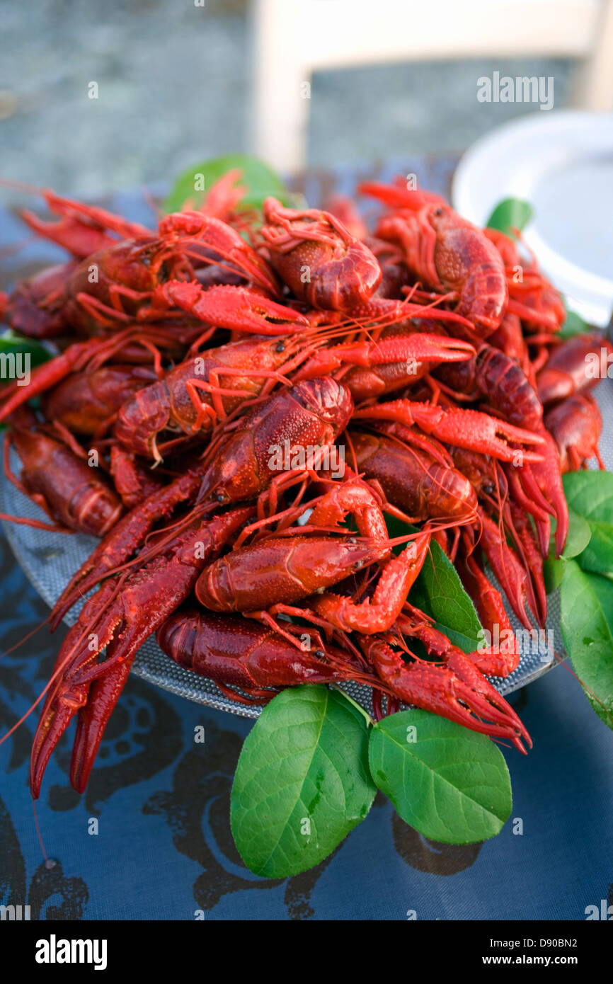 A dish of crayfish, close-up Stock Photo - Alamy