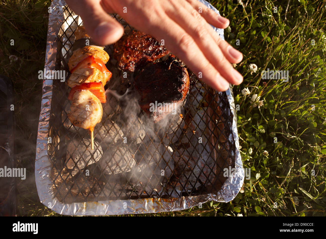 A grill with food on the lawn Stock Photo - Alamy