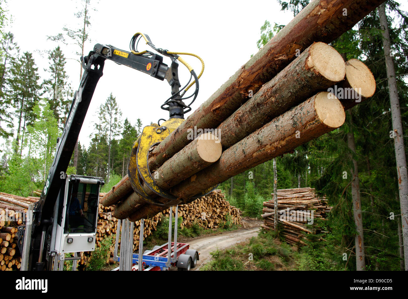 Crane Lifting Timber High Resolution Stock Photography and Images - Alamy