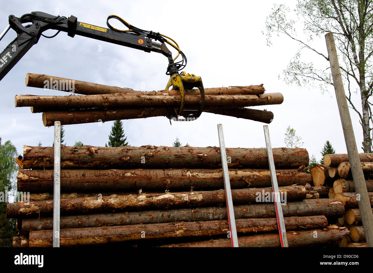 Crane Lifting Timber High Resolution Stock Photography and Images - Alamy