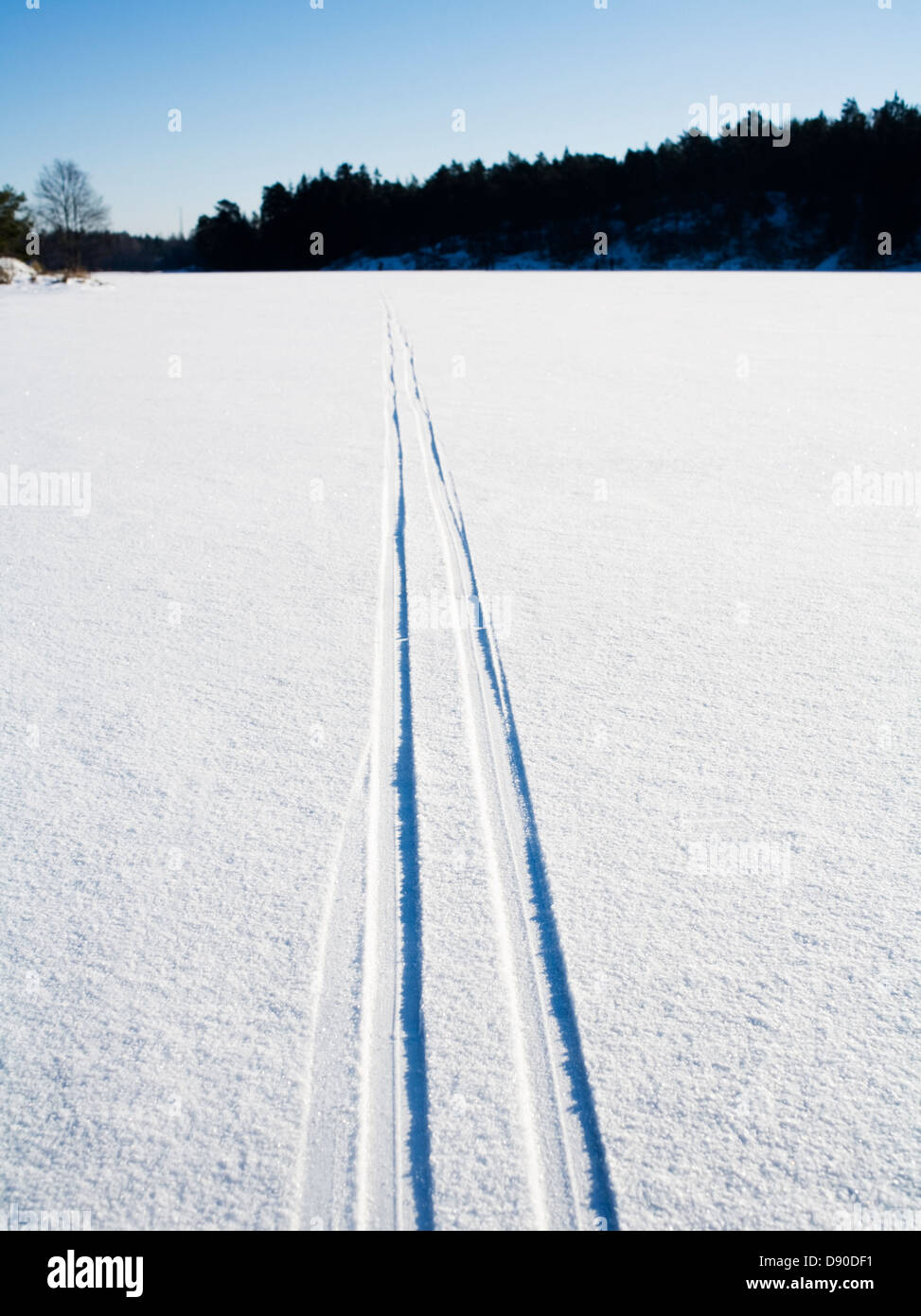 Skiing track, Stockholm, Sweden Stock Photo - Alamy
