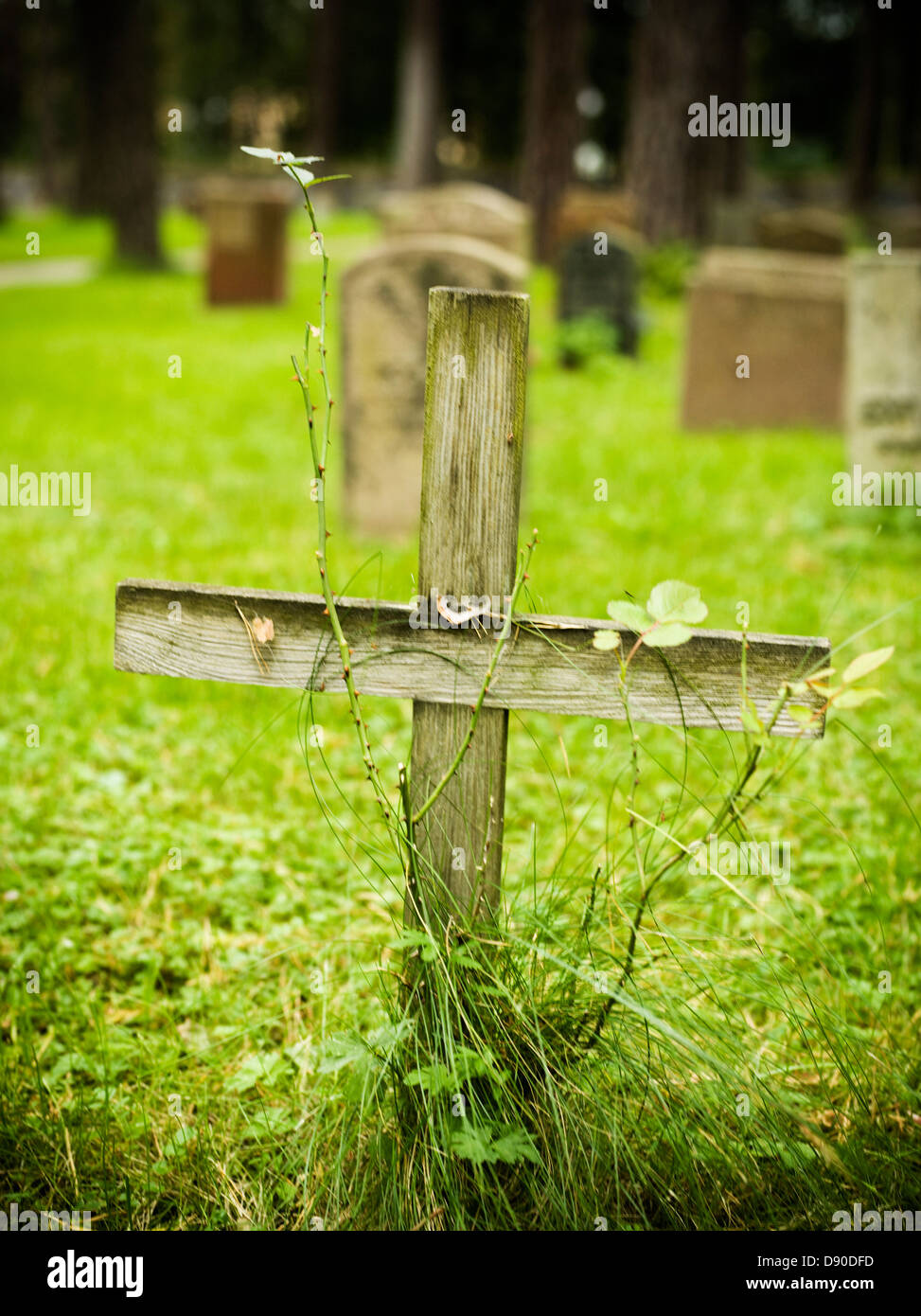 Stockholm sweden cross hi-res stock photography and images - Alamy