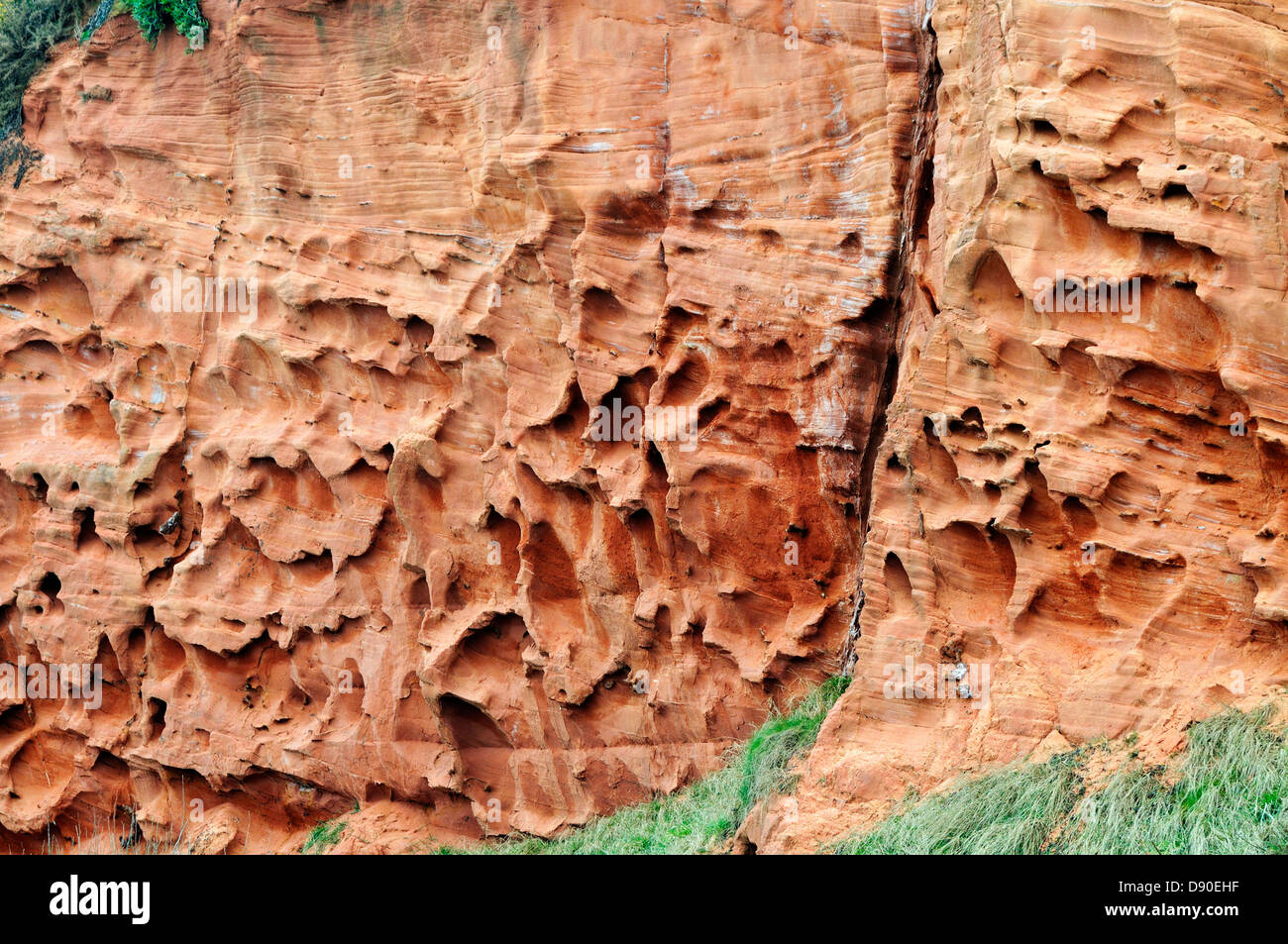 Unique shapes on a sandstone cliff face created by wind erosion Stock ...