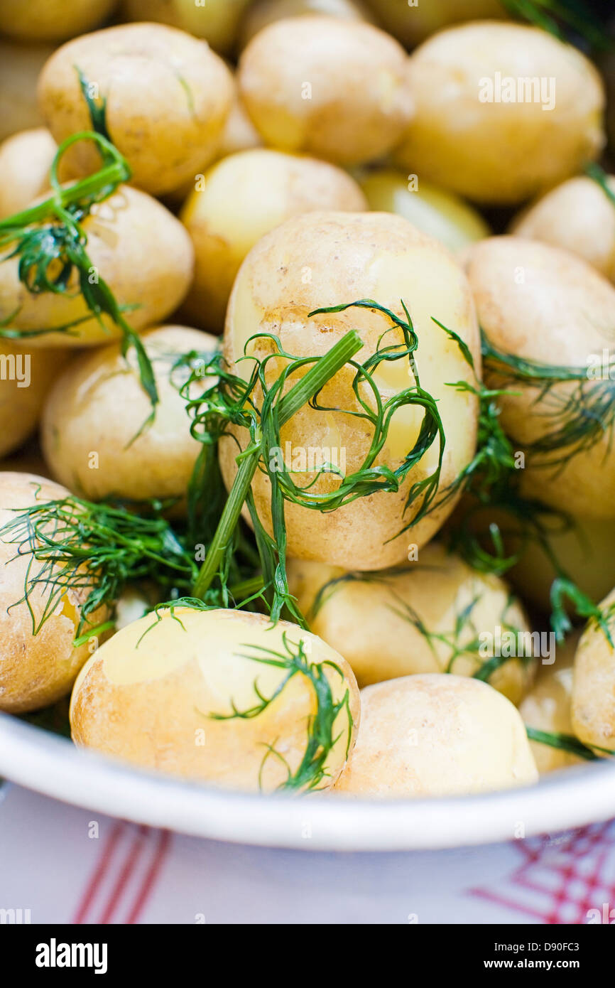 Prepared potatoes served in bowl Stock Photo - Alamy
