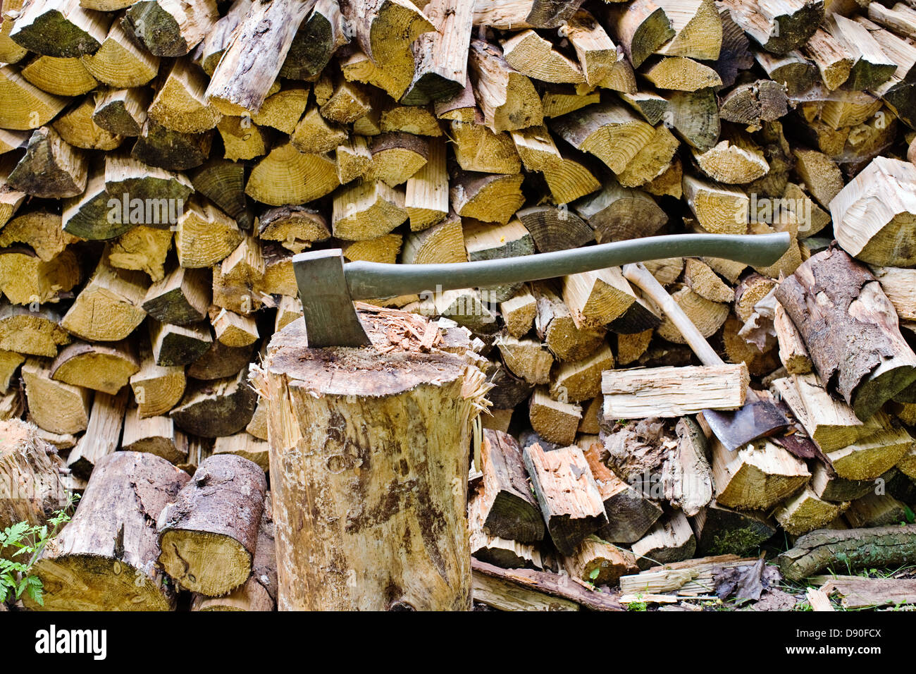 Axe stuck in tree stump Stock Photo - Alamy
