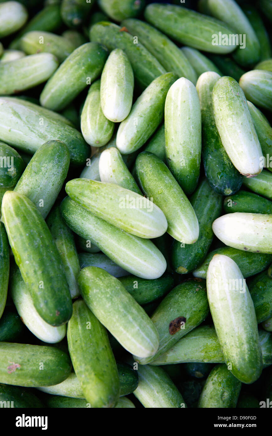 Cucumbers for sale in market Stock Photo - Alamy