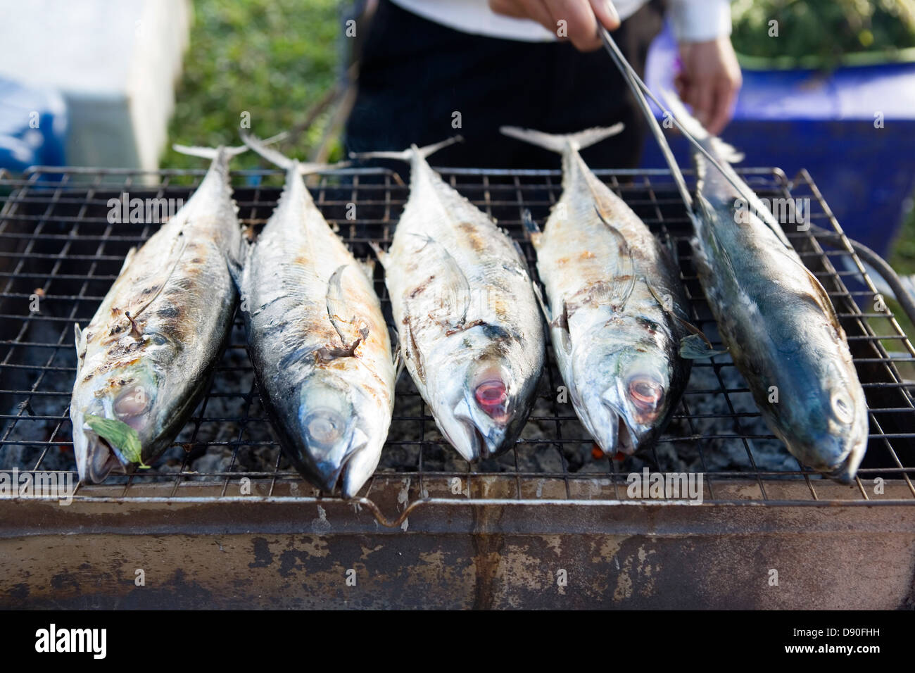 Fish on barbecue grill Stock Photo - Alamy