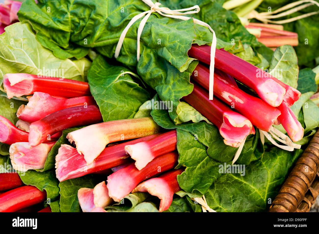 Rhubarb bundle hi-res stock photography and images - Alamy