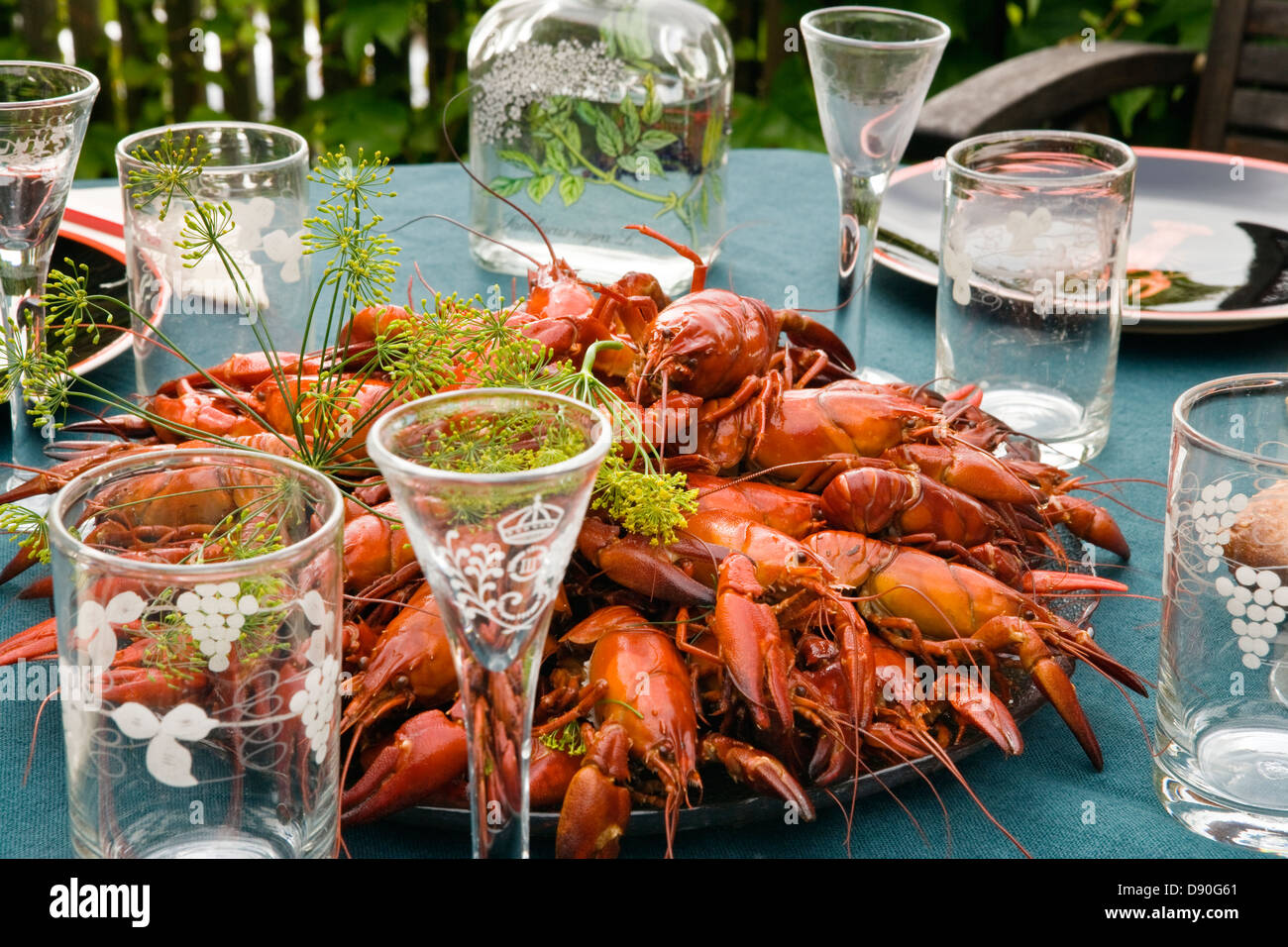 Crayfish on table with crockery Stock Photo - Alamy