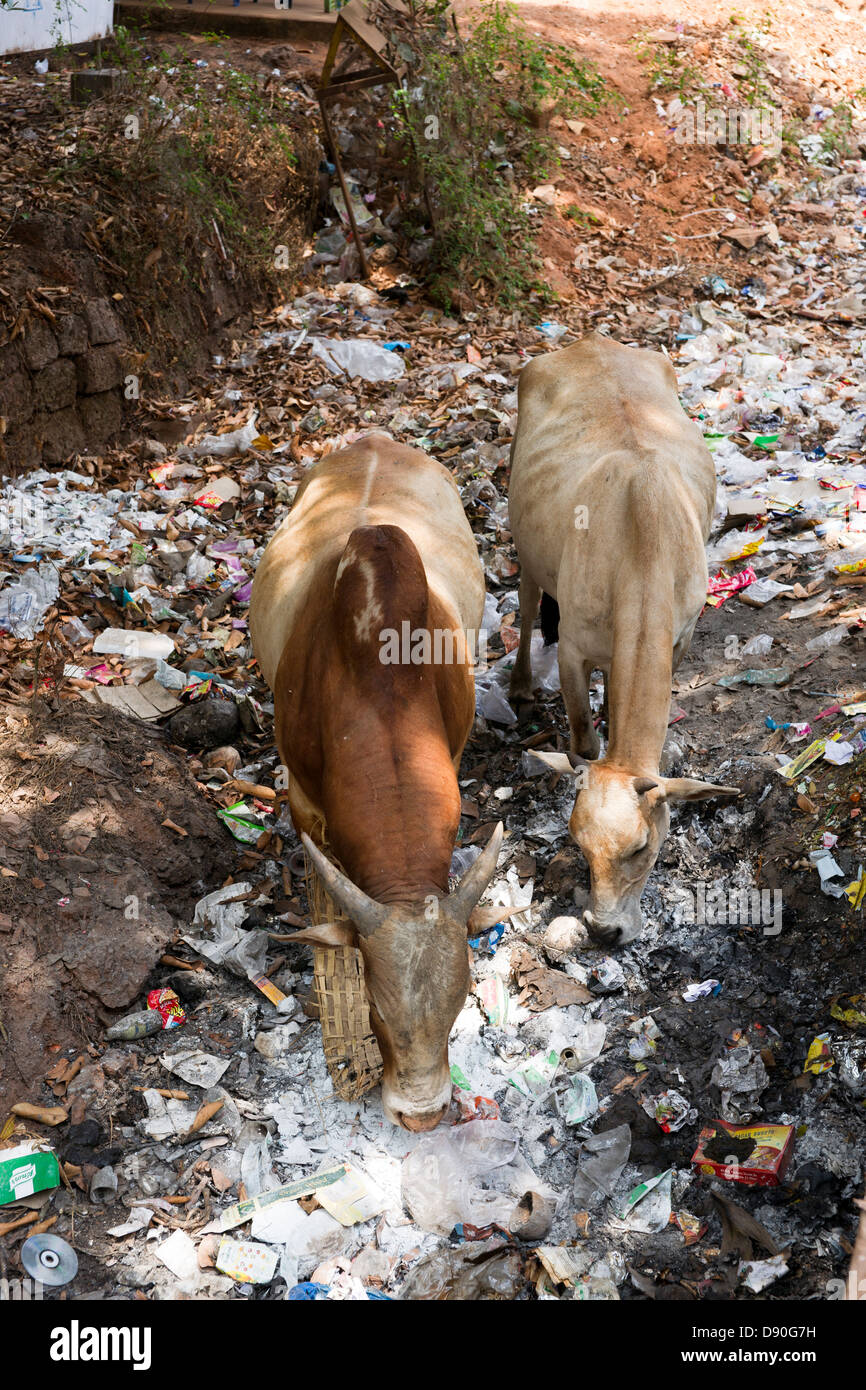 Arpora is a village close to the North Goa beach belt, in India's ...