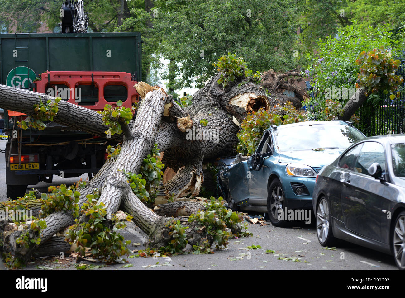London, UK. 7th June, 2013. Tree falls down in Colville Square in ...