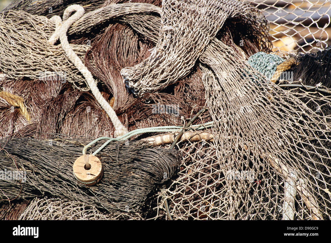 Stora nassa hi-res stock photography and images - Alamy