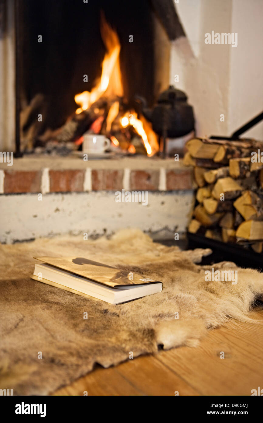 Book fireplace vertical hi-res stock photography and images - Alamy