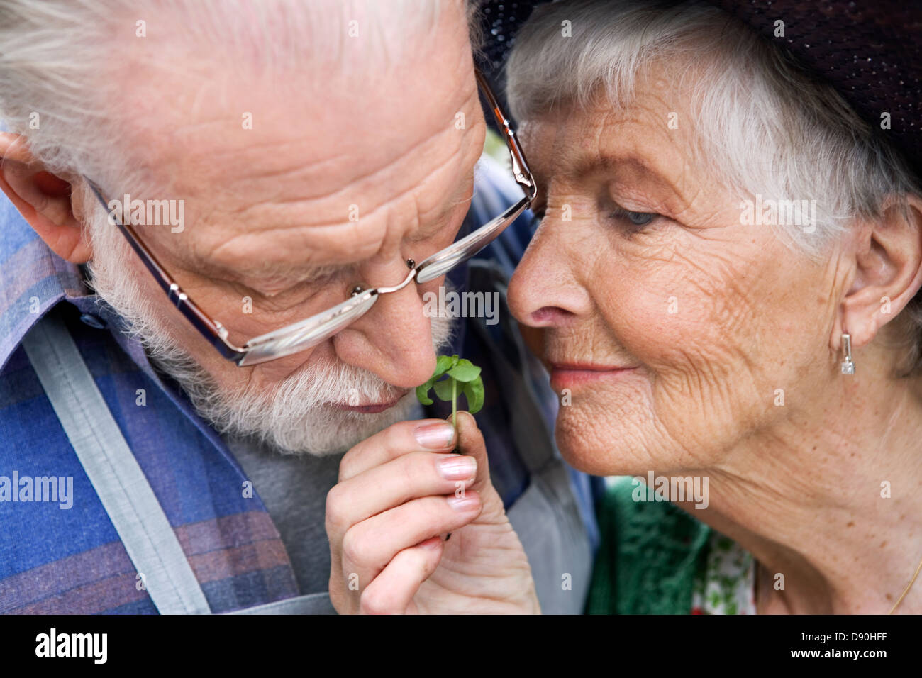 An elderly scandinavian couple with basil, Sweden Stock Photo - Alamy