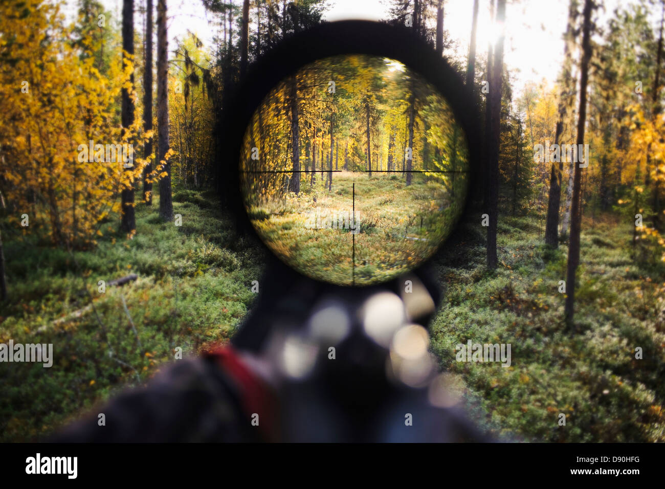 View of trees through rifle sight Stock Photo - Alamy