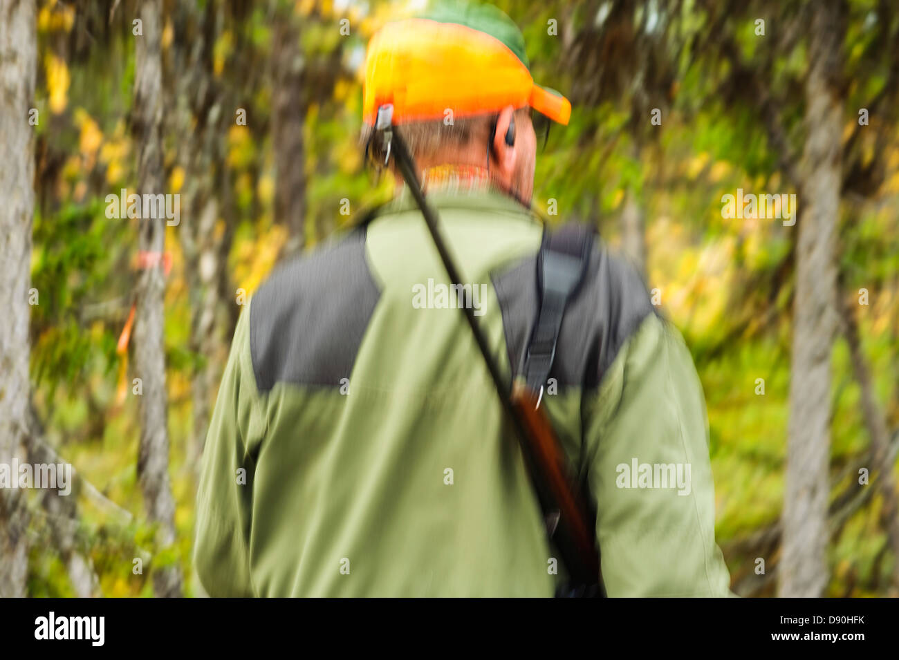 Hunter with gun hi-res stock photography and images - Alamy