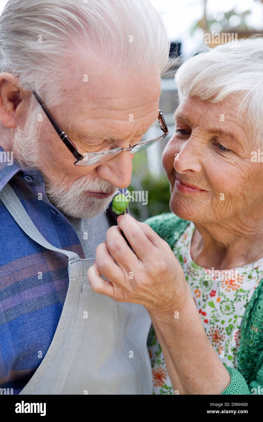 An elderly scandinavian couple with basil, Sweden Stock Photo - Alamy
