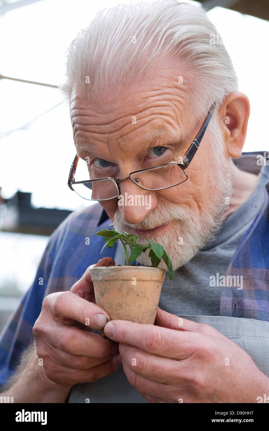 Old scandinavian man smelling a plant, Sweden Stock Photo - Alamy