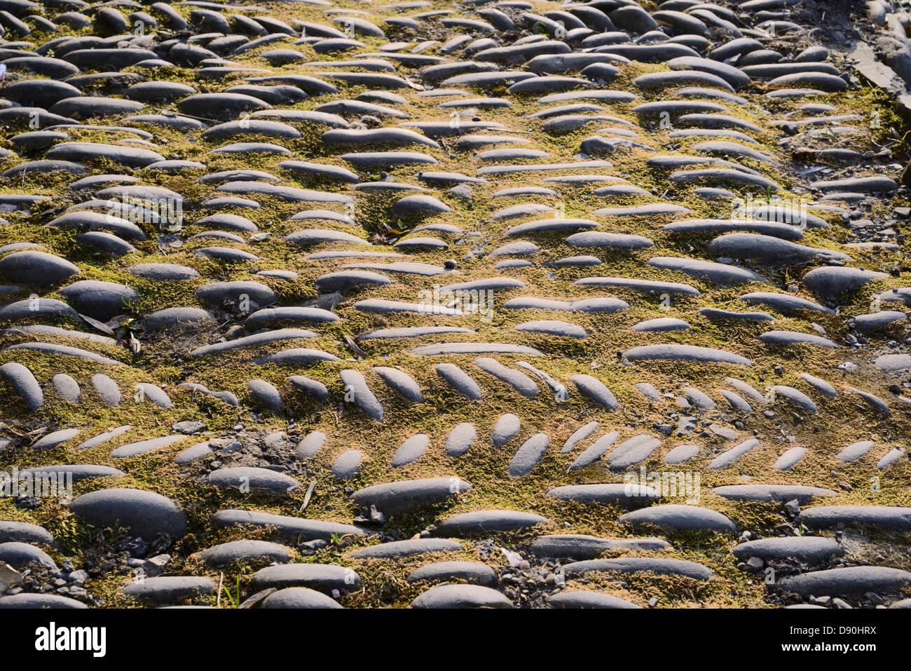 Stones laid in linear and herringbone patterns to form pavement and ...