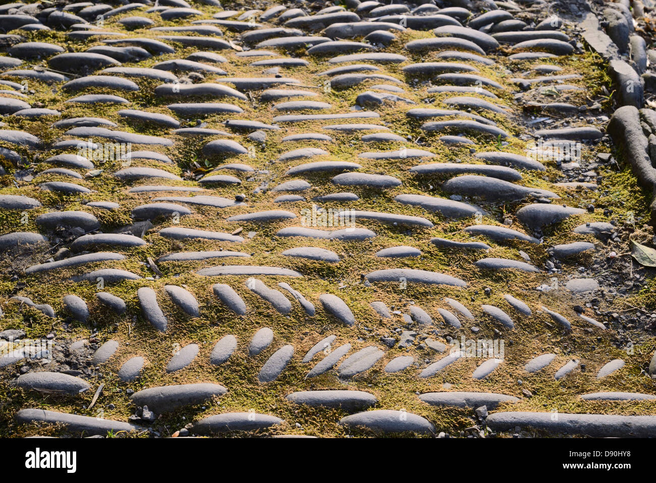 Stones laid in linear and herringbone patterns to form pavement and ...