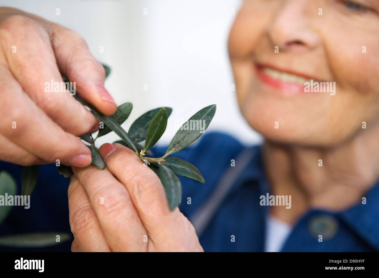 Pottering hi-res stock photography and images - Alamy