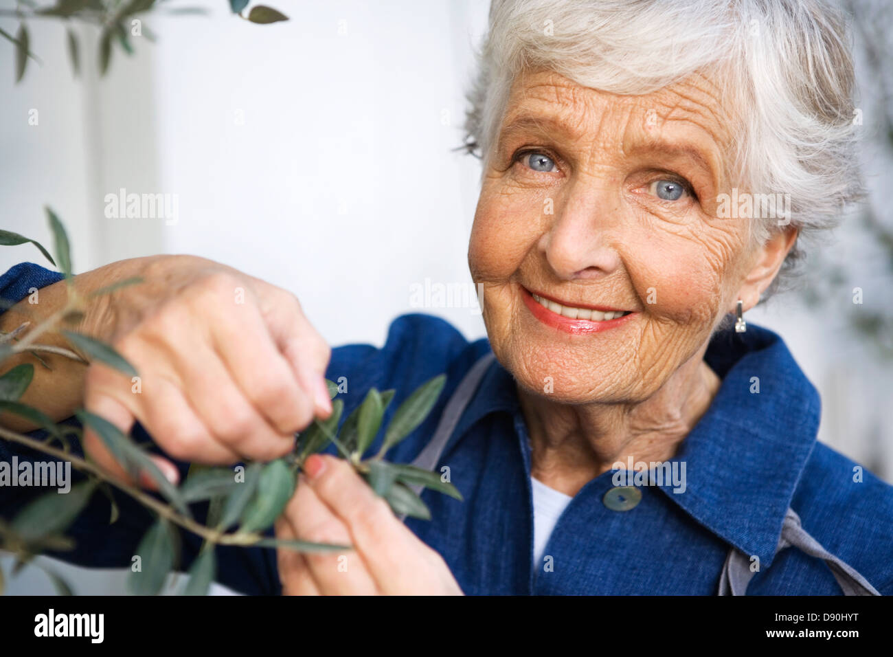 Portrait of an older woman, Sweden Stock Photo - Alamy