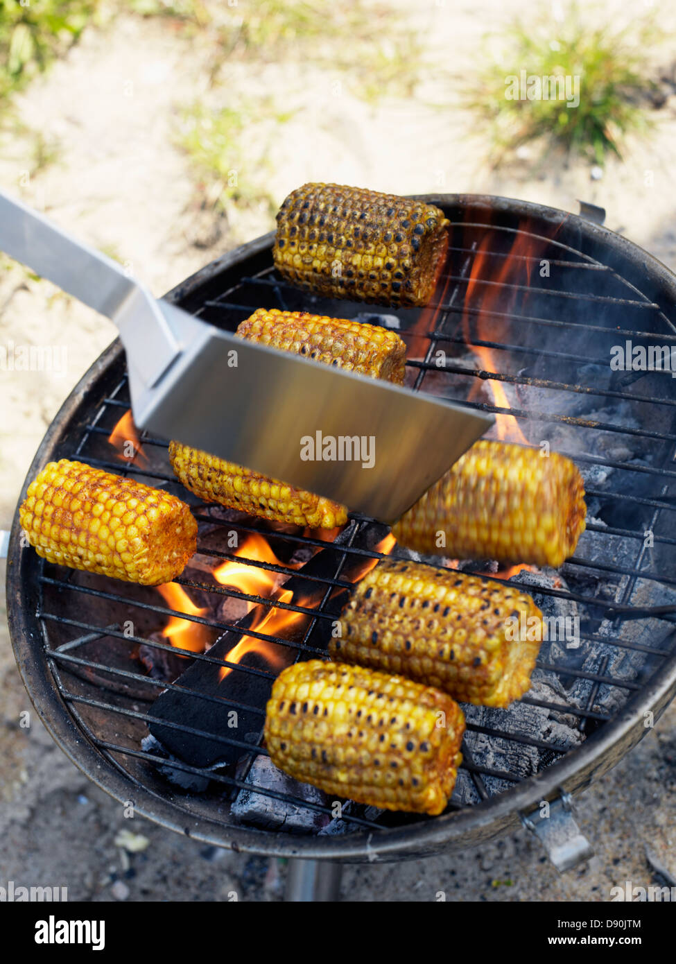 Close up of a corncob hi-res stock photography and images - Alamy