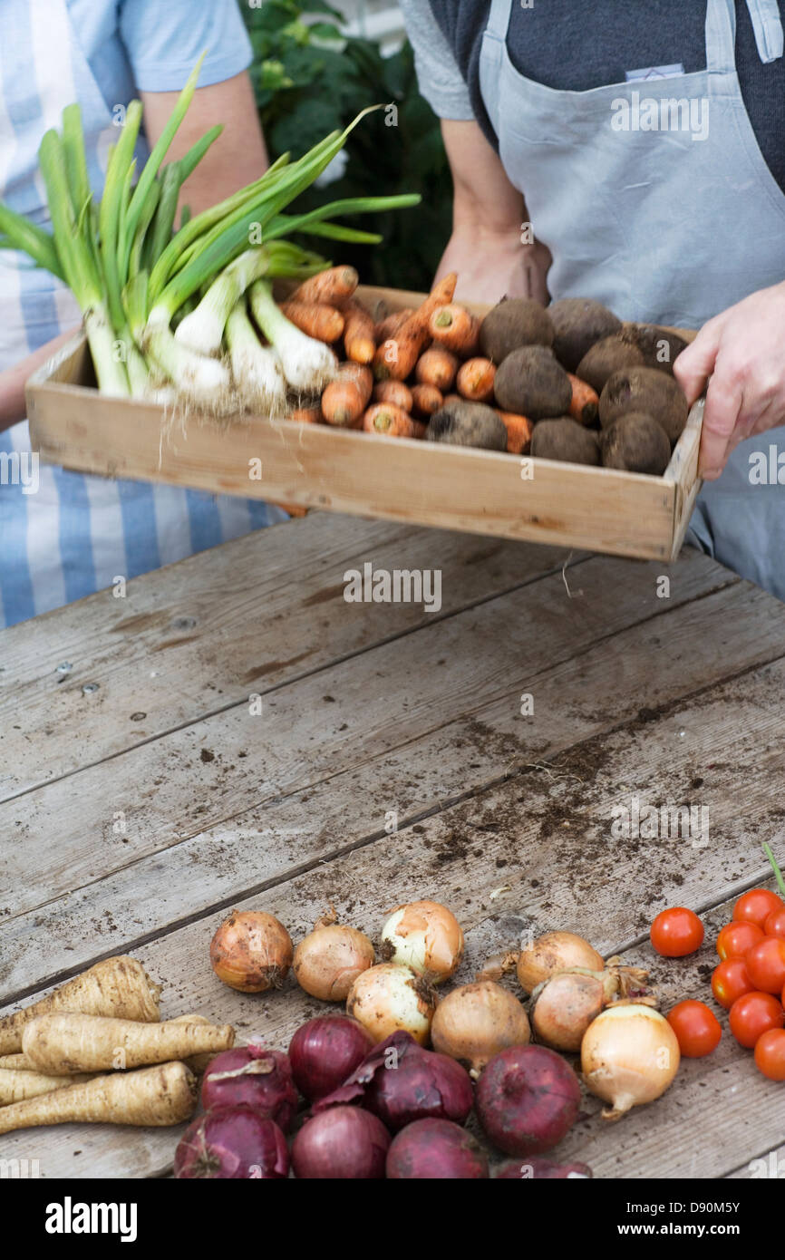 Newly reaped vegetables Stock Photo - Alamy