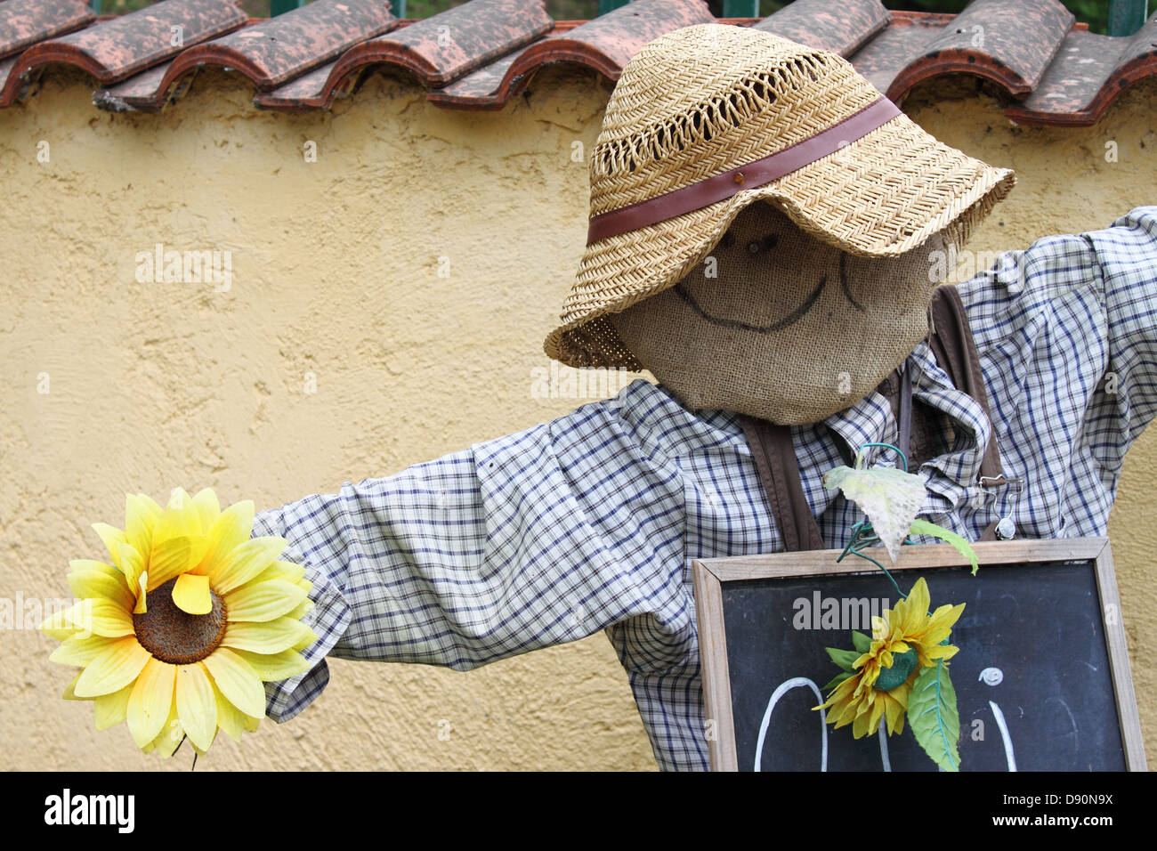 A funny and smiling scarecrow at the entrance of a field Stock Photo ...