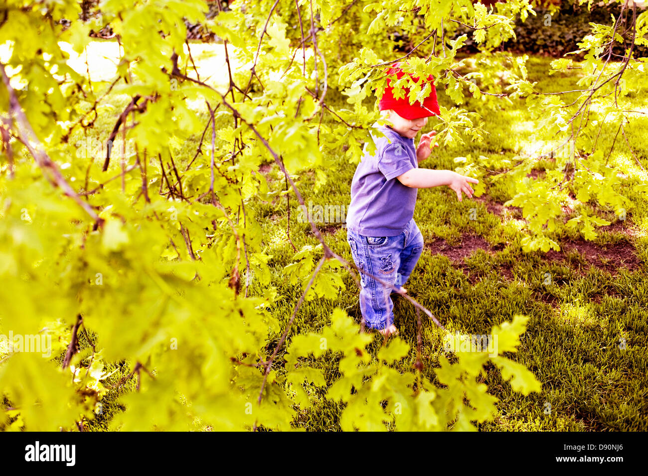 A boy running around outdoors, Denmark Stock Photo - Alamy