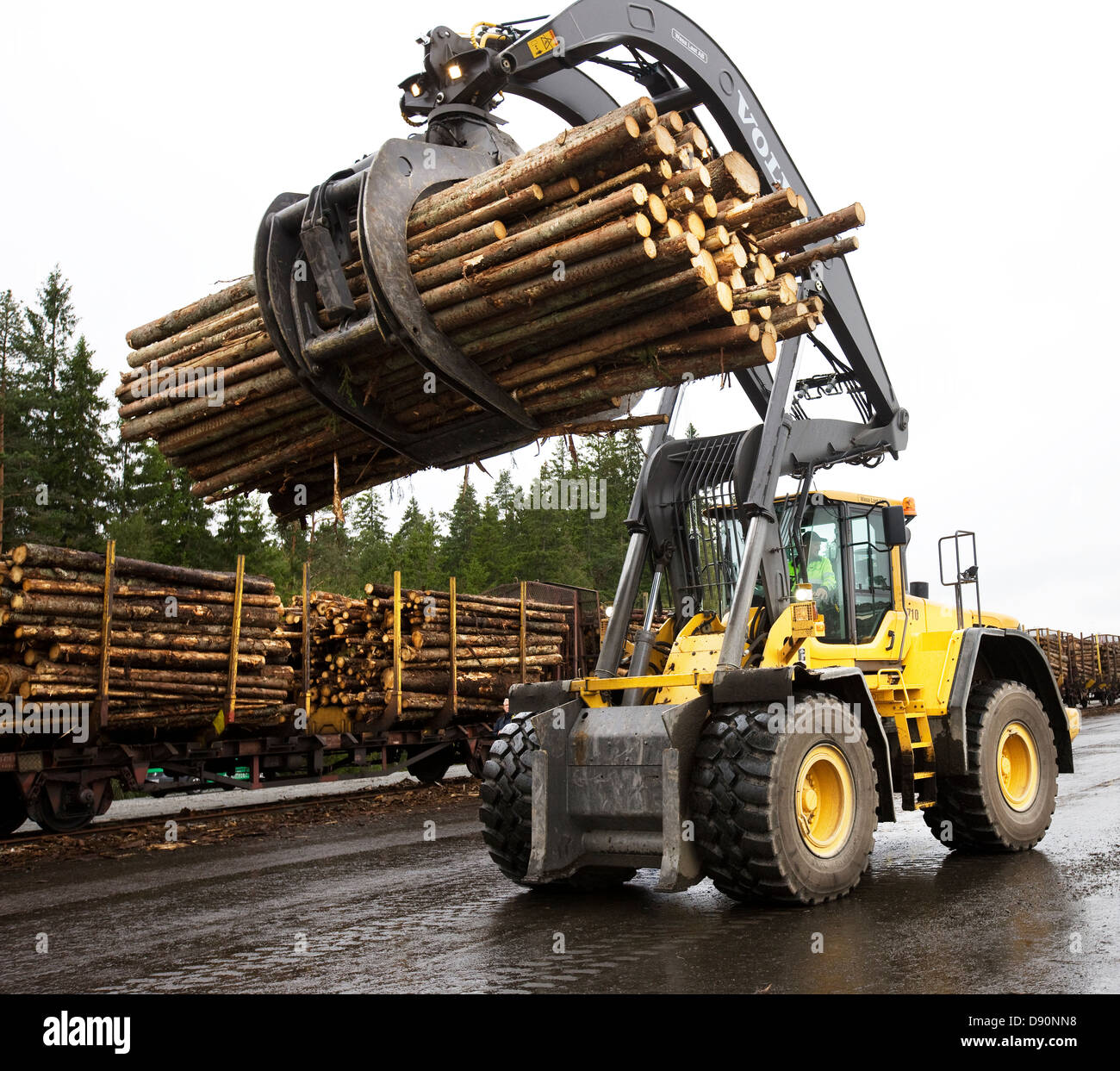 Logging vehicle carrying timber Stock Photo - Alamy