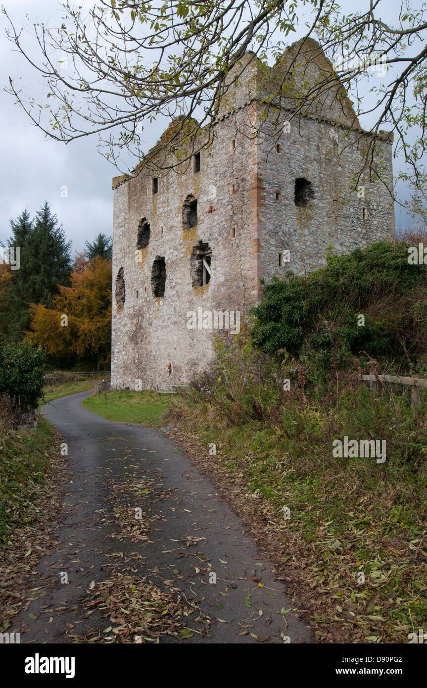 Newark Tower, near Selkirk Stock Photo - Alamy