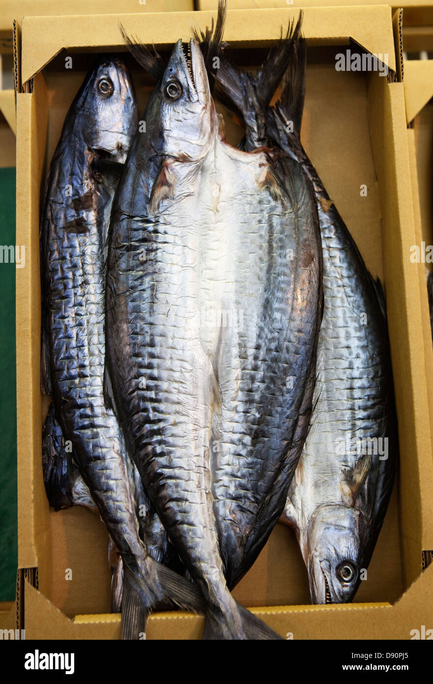 Fish in crate Stock Photo - Alamy