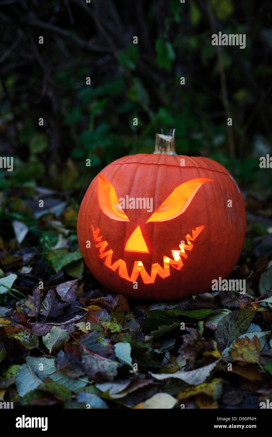 Jack o lantern Stock Photo - Alamy