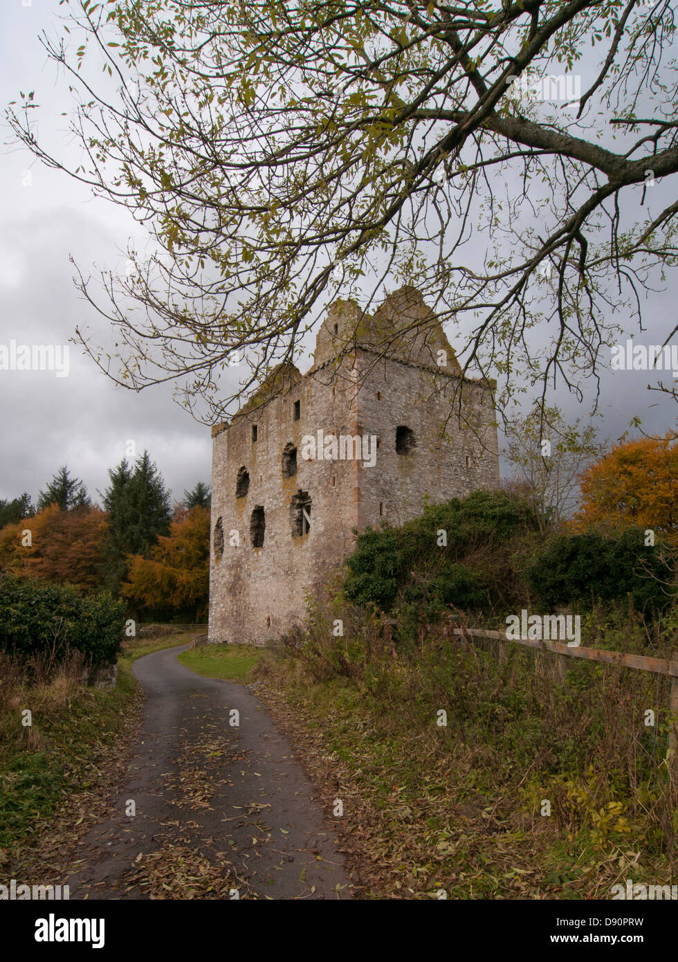 Newark Tower, near Selkirk Stock Photo - Alamy