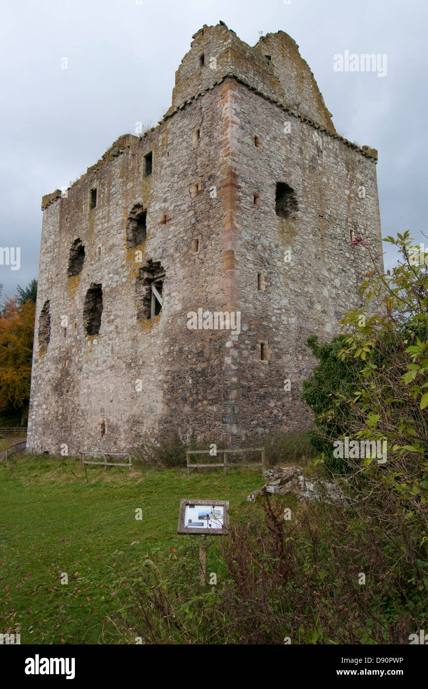 Newark Tower, near Selkirk Stock Photo - Alamy
