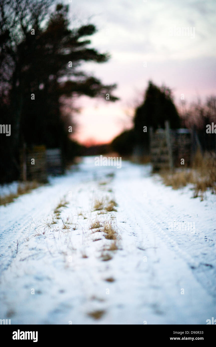 Winter on the countryside, Faro, Gotland, Sweden Stock Photo - Alamy