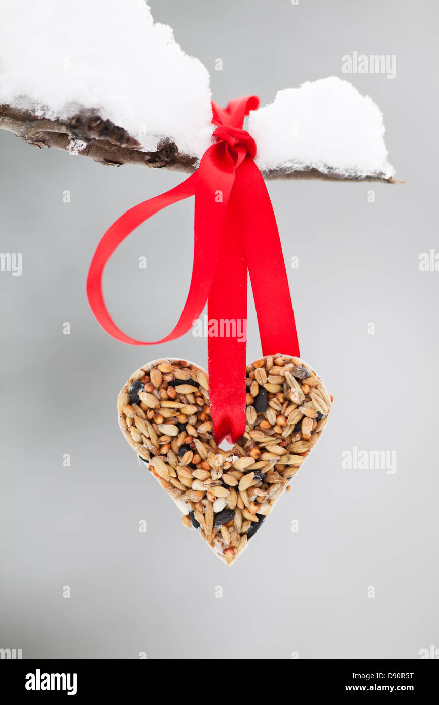 Bird feeder in heart shape hanging on red ribbon Stock Photo - Alamy