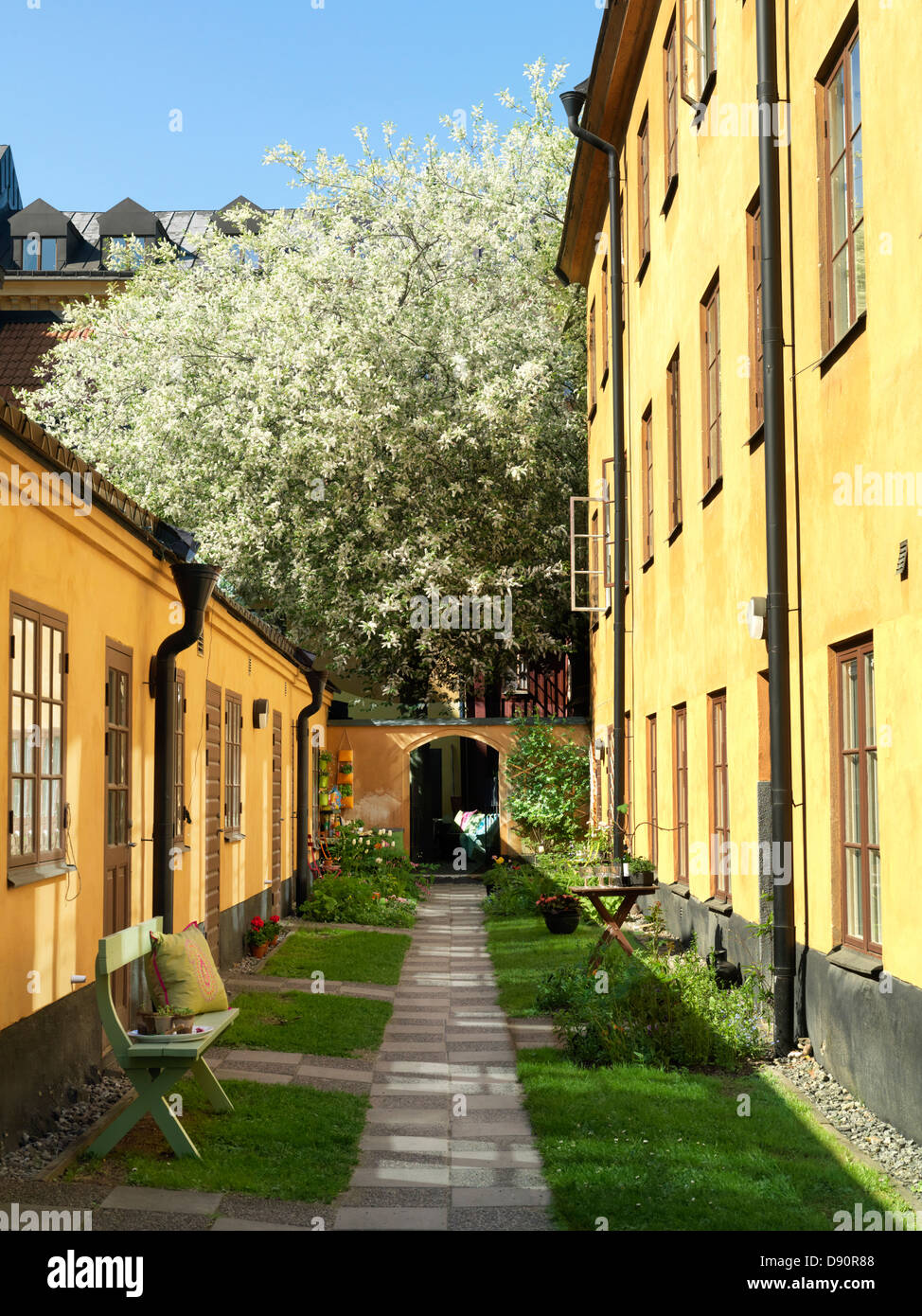 View of backyard Stock Photo - Alamy
