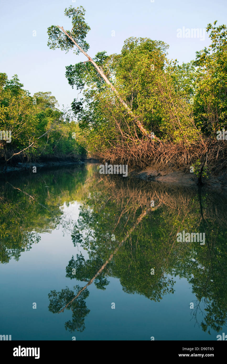 Sides of river hi-res stock photography and images - Alamy