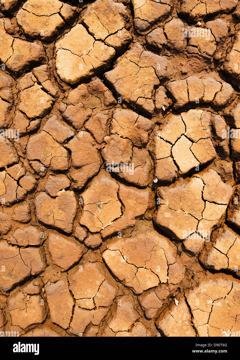 Cacks in dry mud Stock Photo - Alamy