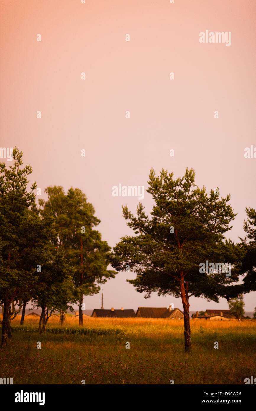 Landscape with trees and field Stock Photo - Alamy