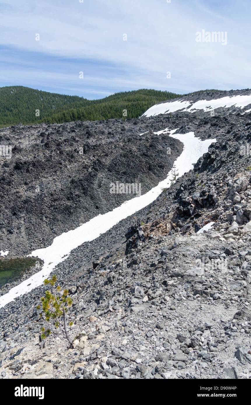 Lava beds at Newberry National Volcanic Monument. Eastern Oregon, USA ...