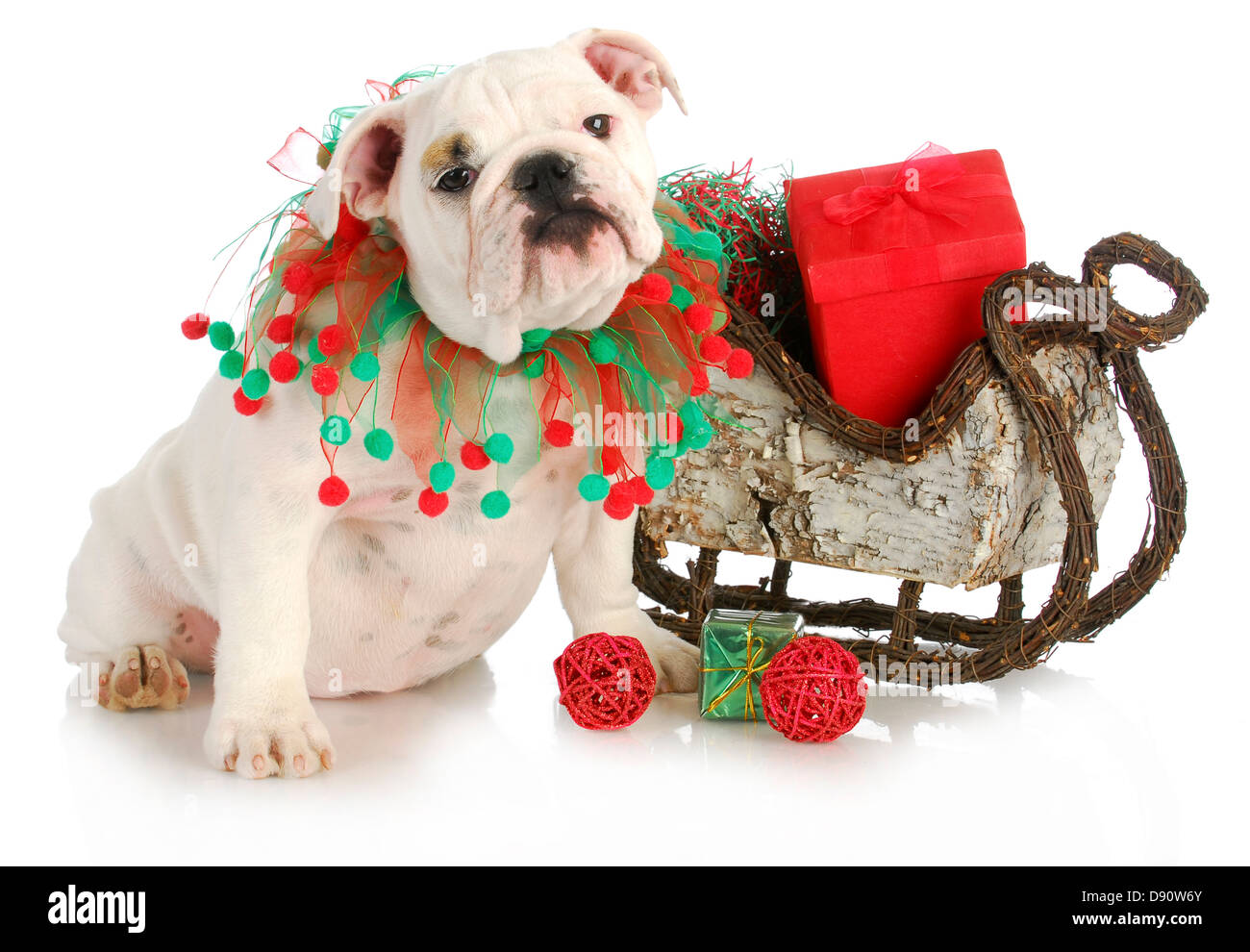 Bulldog Sleigh