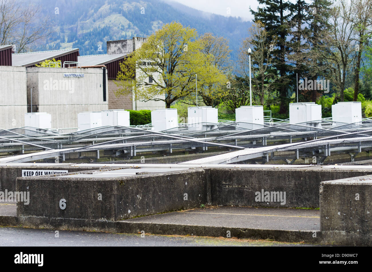 Salmon hatchery historical hi-res stock photography and images - Alamy
