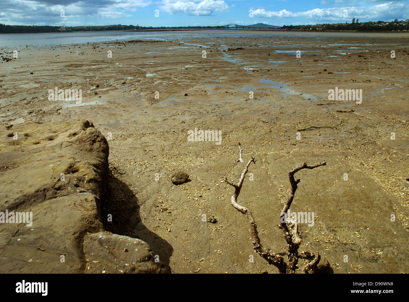 Beach at Kauri Point Centennial Park, Auckland, New Zealand Stock Photo ...