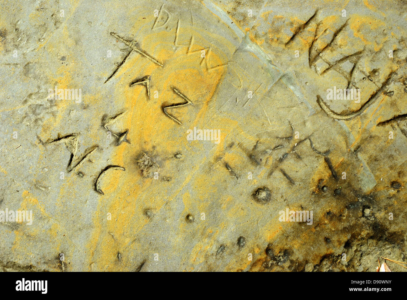 Beach at Kauri Point Centennial Park, Auckland, New Zealand Stock Photo ...