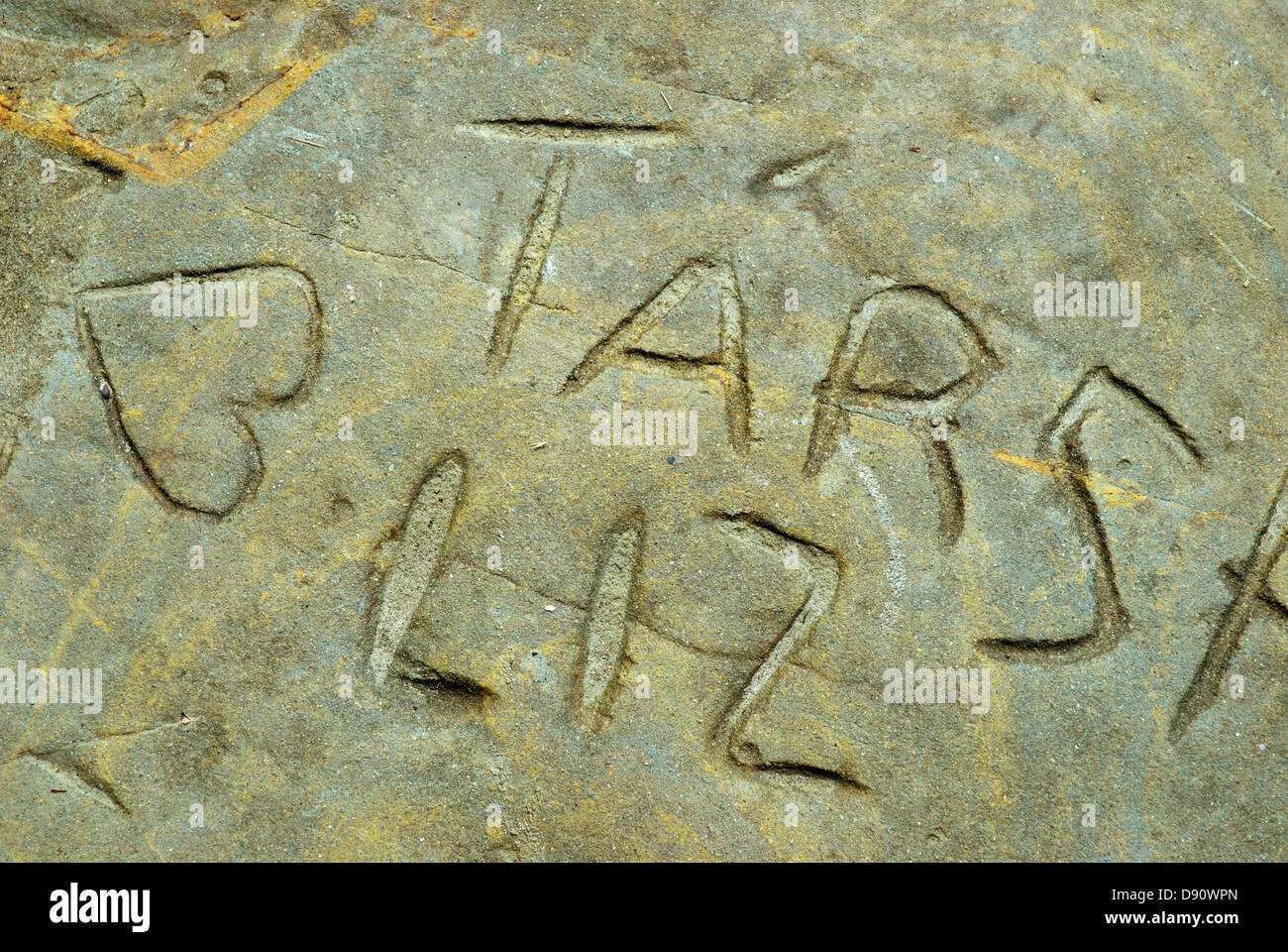 Beach at Kauri Point Centennial Park, Auckland, New Zealand Stock Photo ...