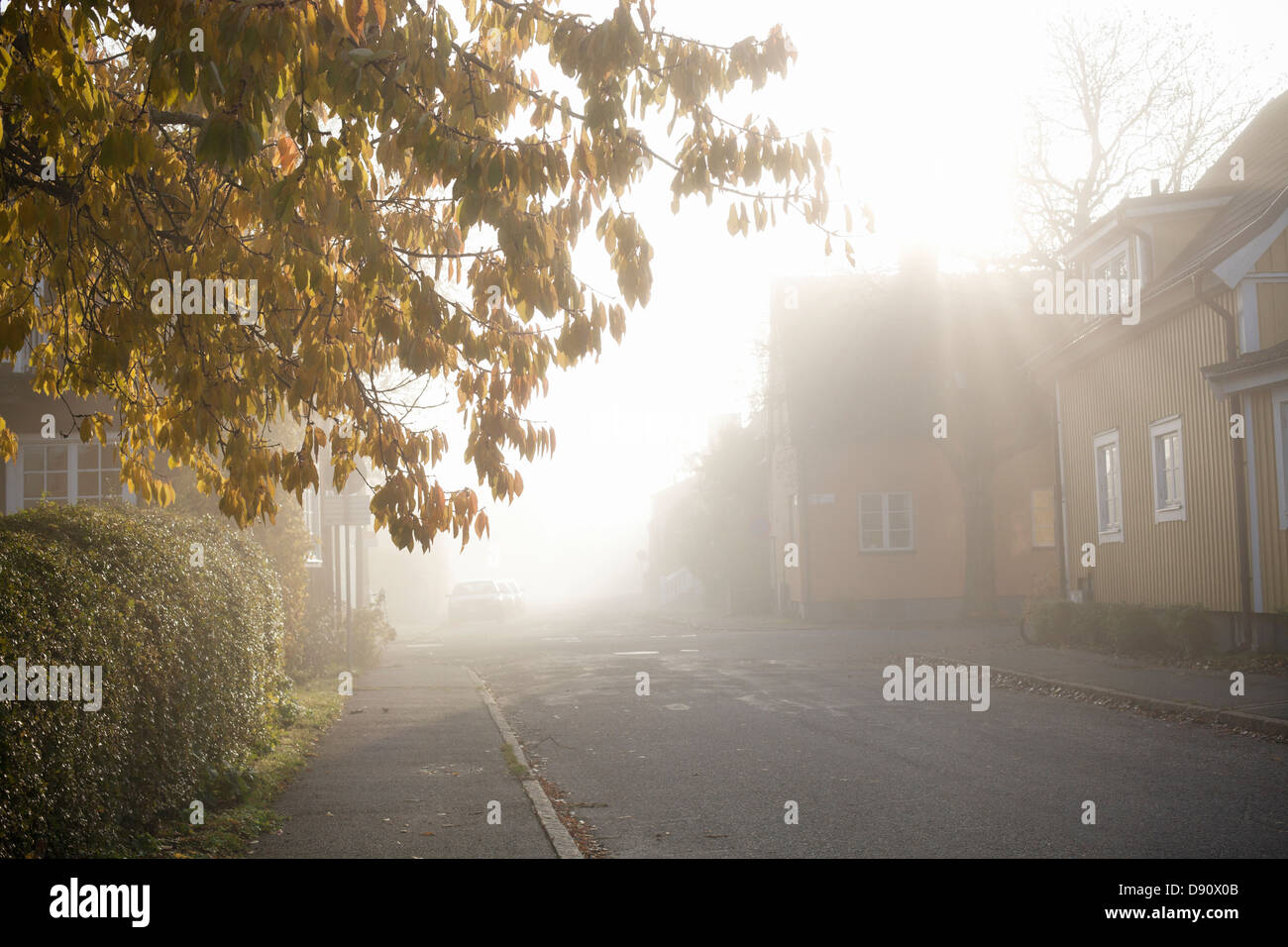 Morning haze in residential district Stock Photo - Alamy